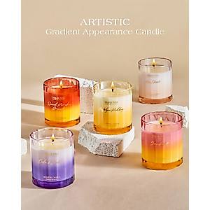 M&SENSE Apple Spice Soy Candles for Home Scented 10.6oz 60 Hour Long Lasting Slow Burning, Organic Natural Christmas Candle Highly Scented Winter Holiday Fragrance Gift for Women Men