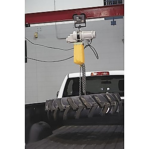 Strongway Round Chain Electric Hoist - 1-Ton Load Capacity, 9.8ft. Lift