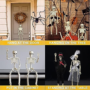 WODMAZ 5 Packs Halloween Skeleton Decorations, 16" Halloween Full Body Mini Skeleton with Movable Posable Joints, Spooky Plastic Skeleton for Yard Garden Lawn Haunted House Graveyard Props Decor