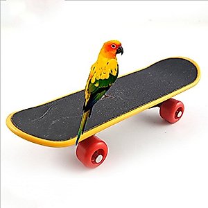 Shuohu Durable Mini Skateboard Parrot Bird Cage Toy Chew Training Ornaments Xmas Gifts for Pets Yellow
