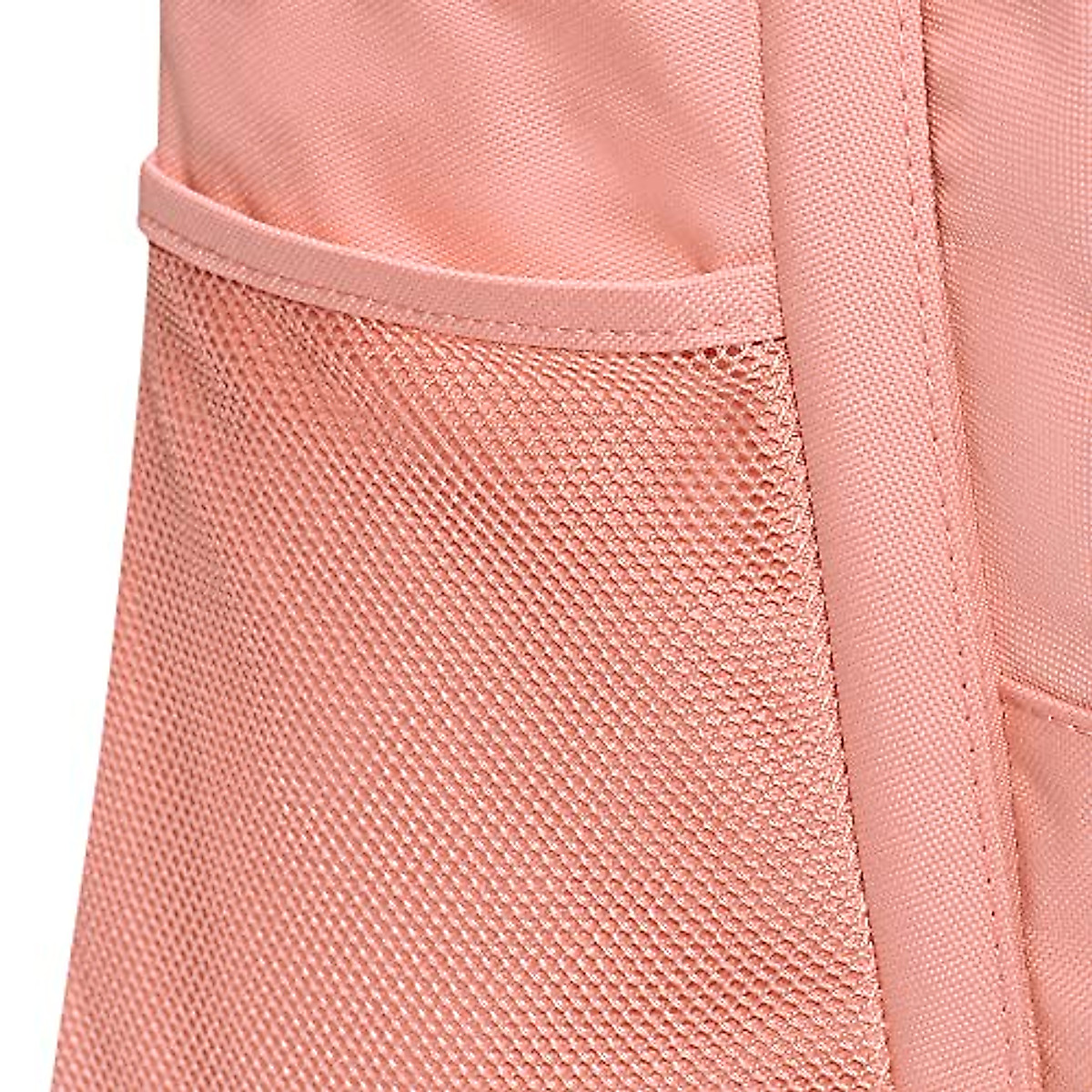 Nike Hayward 2.0 Backpack DV1296-824 Lt Madder Root/Atmosphere, One Size