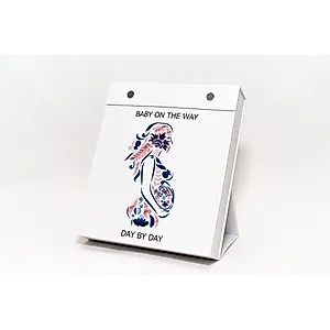 Baby On The Way - Day By Day Pregnancy Calendar, Pregnancy guide, Pregnancy gift, daily countdown planner, pregnancy journal, Keepsake Journal, pregnancy keepsake, pregnancy journal, new mom gift