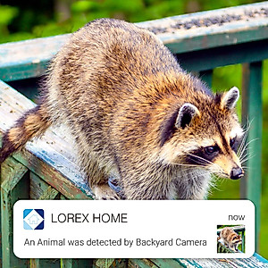 Lorex Fusion 4K 16-Channel (8 Wired and 8 Wi-Fi) 2TB Wired NVR System with 4 Bullet Cameras Featuring Smart Security Lighting