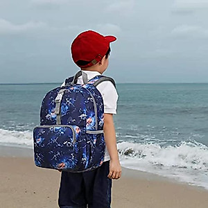 Roptat Backpack for Boys,Boys School backpack with Lunch Box Set Lightweight Kids Backpack for Boys Toddler Kindergarten Preschool Elementary with Lunch Box and Pencil Box