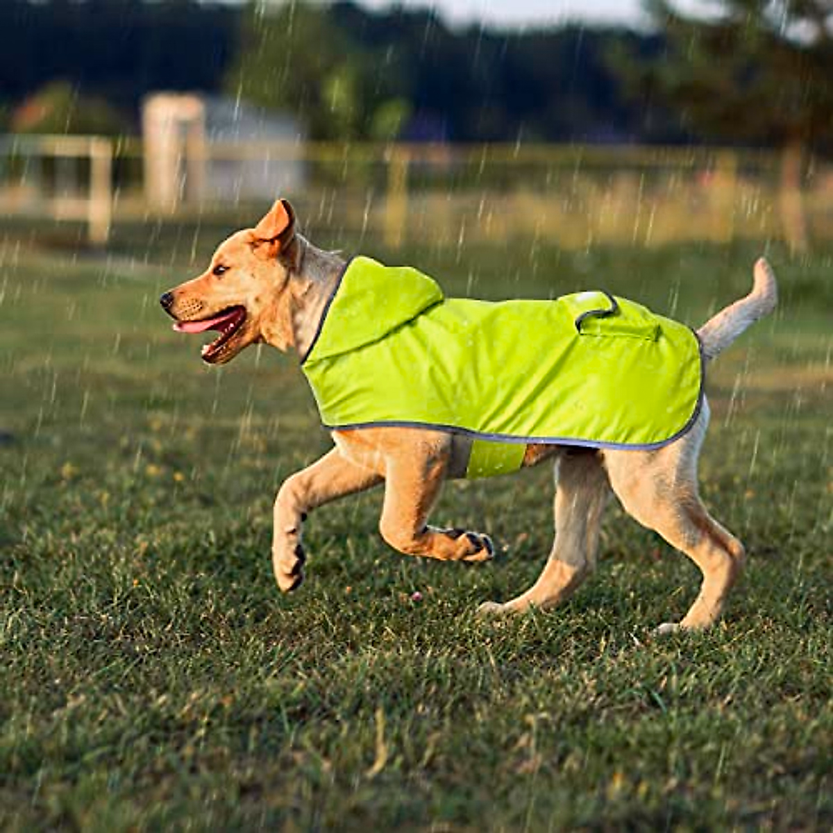 Illumifun Dog Raincoat with Hood - Waterproof Reversible Dog Coats, Lightweight Dog Rain Jacket for Small Medium Large Dogs (X-Large)