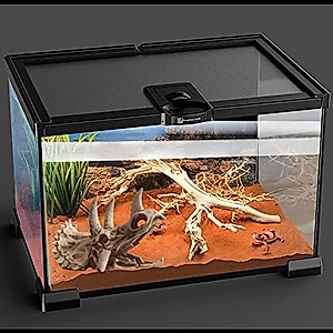 MUYG Bearded Dragon Resin Triceratops Skull Hide Decoration Reptiles Artificial Hideout Cave Landscape Tank Accessories Vines Leaves Hideaway Ornaments for Lizards Snake Gecko