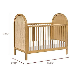 babyletto Bondi Cane 3-in-1 Convertible Crib with Toddler Bed Conversion Kit in Honey with Natural Cane, Greenguard Gold Certified