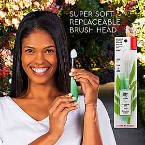 RADIUS Toothbrush Source Floss Brush BPA Free & ADA Accepted Improve Gum Health & Reduce Gum Issues - Super Soft - Cornstarch/Wood/Money - Pack of 3