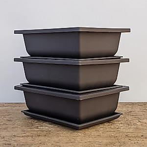 Tinyroots Bonsai Pots with Humidity Trays - Training Planters, Built in Mesh, 6-inch and 8-inch