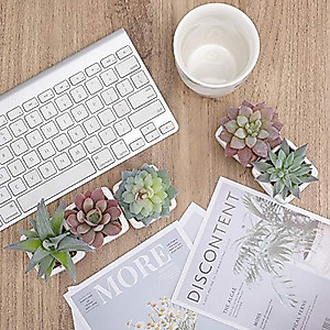 FUNARTY 5pcs Artificial Succulent Plants in White Ceramic Pots, Fake Small Fake Plants, Faux Mini Succulents Plants Indoor for Desk Living Room Bedroom Windowsills Office Home Decoration