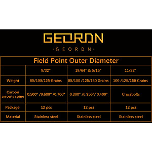 100/125/150/175/200 Grains Stainless Steel Field Points Practice Archery Arrow Target Bullet Point Combo Point 12 PCS (R 19/64"-125 Grains)