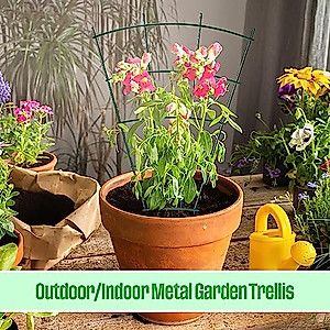 Zhehao 10 Pack Indoor Plant Trellis for Potted Plants Climbing, Outdoor Metal Garden Trellis Houseplants Patio Plant Support for Outdoor Plants Trellis for Rose, Fan Shape, Green (16 Inches High)