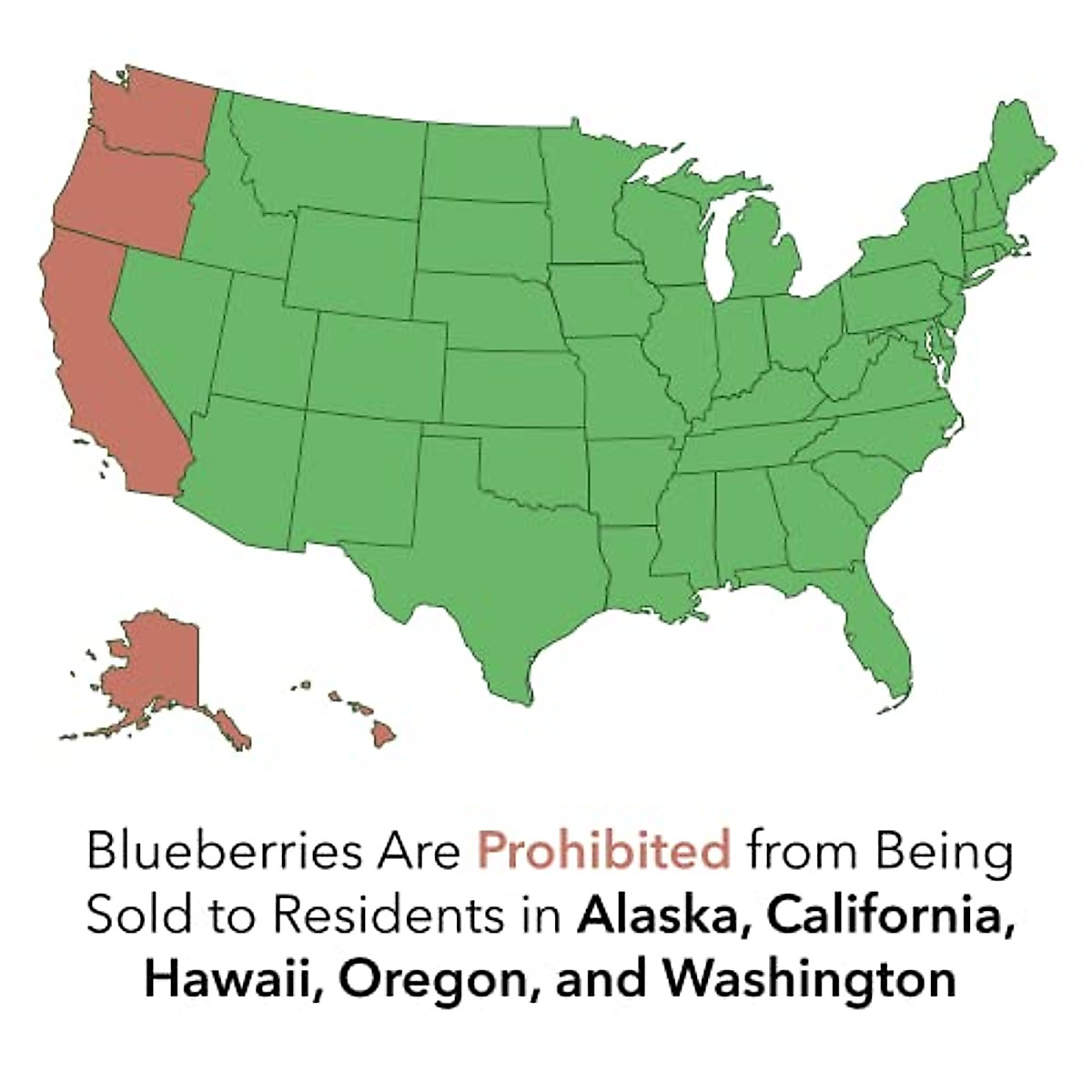 Premier Rabbiteye Blueberry Bush (2.5 Quart) Fruit-Bearing Deciduous Shrub - Full Sun Live Outdoor Plant