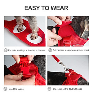 PetiFine Step in Small Dog Harness and Leash Set, Breathable All Weather Air Mesh Reflective Escape Proof, Step-in Vest Harnesses for Puppy(XS, Red)
