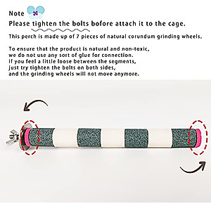 Rough-surfaced Bird Perch Beak Grinding Rod and Stainless Steel Safe Non-Toxic Durable Bird Stand for Parakeets, Conure and Other Small and Medium-Sized Birds 7.9" -Green