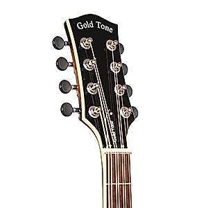 Gold Tone Mandocello: Mandocello with Pickup and Case