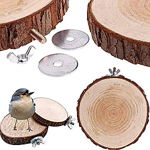 NEWCOMDIGI Colorful Bird Perch Stand, Birdcage Toys, Natural Wood Platform and Paw Grinding Sticks for Parrot, Budgies, Parakeet, Cockatiels, Hamster, Conure, Lovebirds, Gerbil, Rat, Mouse(12 PCS Set)