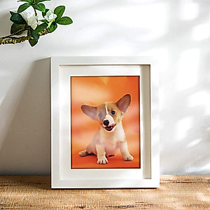 8x10 White Picture Frames Nature Solid Wood 6 Pack for Wall Mounting and Tabletop Display