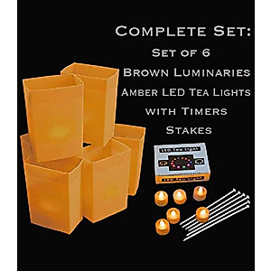 Set of 6 Brown Luminaries, Amber LED Tea Lights & Stakes
