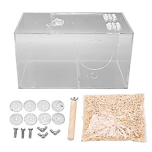 Parakeet House Box Acrylic Bird Breeding Box Transparent Parrot Mating Box Cage for Lovebirds Cockatiel Budgie