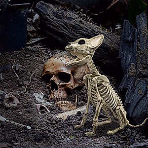 Supremask Skeleton Cat, Plastic Crouching and Sitting Cat Skeleton, Creepy Animal Bones for Halloween Decoration (Sitting)