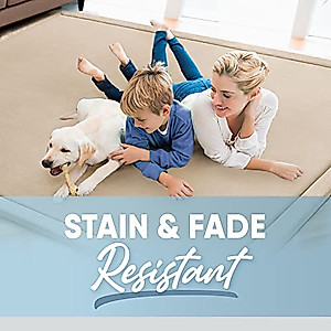 MICRODRY Memory Foam Area Rug for Living Room, Microfiber Rug with Built in Rug Pad, Fade & Stain Resistant Carpet for Living Room, Kids Room, and Bedroom, 5'x7', Linen