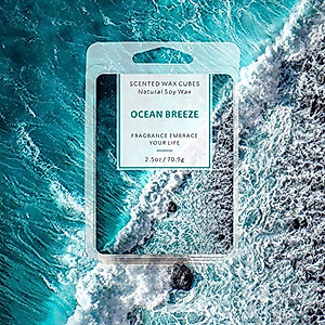 SCENTORINI Wax Melts, Wax Cubes, Soy Wax Cubes for Wax Warmer, Ocean Breeze, Fresh Linen, Bohemia Forest, Winds in Summer, 4 x 2.5oz