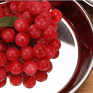 HEIMP Tray Heights Tone Dinnerware, Oven & Dishwasher Dependable, Trays Stainless Steel for Dinner Fruit Salad Plate