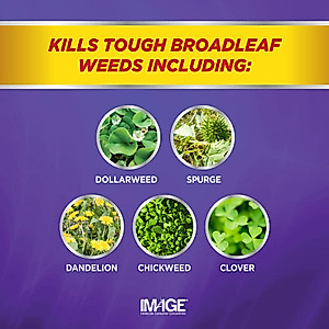 Image Weed Killer Concentrate 32 Oz. - Total Qty: 1