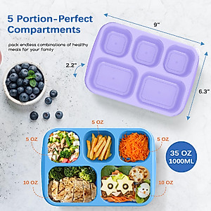 KHOXU Bento Lunch Box, 5 Compartment Meal Prep Container, Reusable, Durable, Stain-Resistant, Microwave & Dishwasher Safe, Blue/Purple/Green