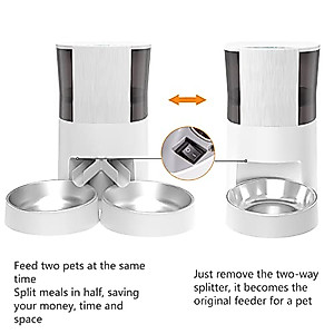 HoneyGuaridan Automatic Cat Feeder for 2 Cats&Dog, Pet Food Dispenser Timed Cat Feeder, Portion Control, Distribution Alarms and Voice Recorder 1-6 Meals per Day - 2 Stainless Steel Bowl