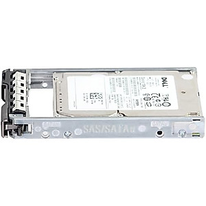 Dell 300GB 10K 6Gbps SAS 2.5 HDD (C975M) (Renewed)