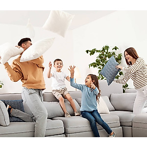 Euro Pillow Inserts 24 x 24 (Pack of 2, White), Down Feather Pillow Stuffer, Premium White Pillows for Bed, Couch, and Cushion