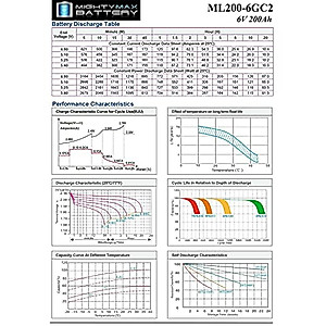Mighty Max Battery Mighty Max Battery ML200-6GC2-6 Volt 200 AH, Internal Thread (INT) Terminal, Rechargeable SLA AGM Battery for Golf Cart