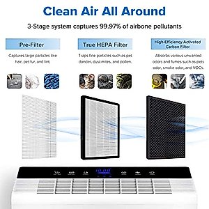 LEVOIT Smart Wifi Air Purifier for Home, Extra-Large Room with H13 True HEPA Filter & Air Purifier LV-PUR131 Replacement Filter True HEPA & Activated Carbon Filters Set, LV-PUR131-RF (2 Pack)