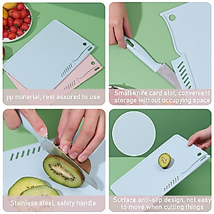 Mini Travel Cutting Board,Cutting Boards for Kitchen,Plastic Utility Cutting Board with Handles,Safe Multifunctional Portable Fruit Chopping Board With Knife Hanging Hole for Kitchen(pink)