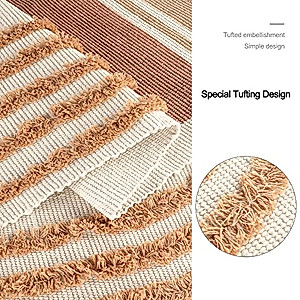 LEEVAN Boho Geometric Area Rug 4x6ft Farmhouse Rugs Washable Woven Living Room Floor Carpet Tribal Diamond Accent Rug for Bedroom Indoor Outdoor Bohemian Patio Rug Cotton Rugs for Living Room/Bedroom