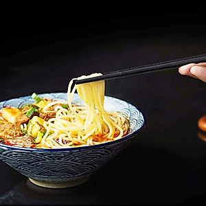 10 Pairs Fiberglass Chopsticks, Reusable Chopsticks and Dishwasher Safe， 9 1/2 Inches - Clover,Silver