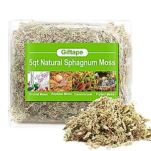 150 Grams Natural Sphagnum Moss Orchid Potting Mix, Organic Carnivorous Dried Peat Moss, Plant Supplies for Indoor Potting Soil, Perlite Blend, Reptile Bedding 3 Quart Sized Bag(Appx.5oz) by Giftape