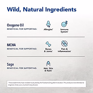 NORTH AMERICAN HERB & SPICE BoneActiv - 120 Capsules - Bone & Joint Support - MCHA, Sage, Rosemary, Oreganol P73 Oregano Oil - Non-GMO - 30 Servings