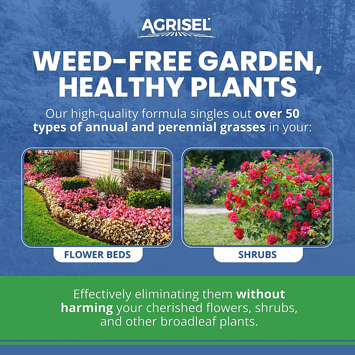 Agrisel GrassOut Max Weed Killer, Targets 50+ Grassy Weeds Without Harming Desired Plants, Pet Safe, Large Area Treatment, Easy Application, Includes 3-Pack of Agrisel Protective Gloves, 128 Ounces