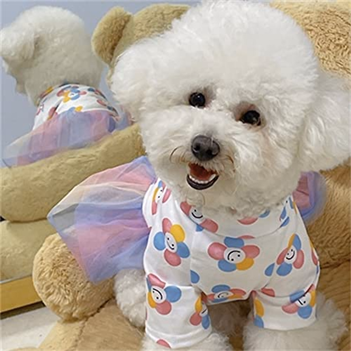 Pet Dress Cat Dog Tiered Layer Tutu Tulle Dogs Birthday Party Dresses Sweet Print Sweater Tulle Skirt Outfit Princess Girl Dog Clothes for Small Dogs