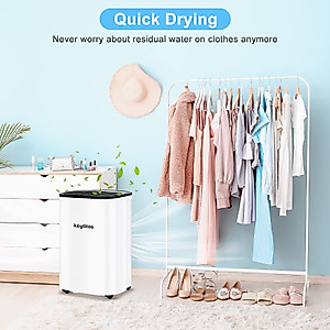 Keylitos 12L Day Dehumidifiers for Home and Basements,Quiet Dehumidifier with Drain Hose, with Digital Humidity Display, Auto or Manual Drainage for Large Room, Garage, Bedroom, Bathroom