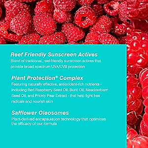 COOLA Organic Sunscreen SPF 30 Sunblock Spray, Dermatologist Tested Skin Care for Daily Protection, Vegan and Gluten Free, Piña Colada, Travel Size, 2 Fl Oz