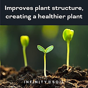 Infinity Soil Diatomaceous Earth - 2 lbs - Sustainable and Natural Soil Amendment - A Natural Source of Silica - Increases Soil Water and Nutrient Retention