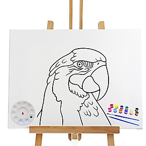 Essenburg Pre Drawn Canvas Parrott Paint Kit | Adult & Teen Sip and Paint Party Favor | DIY Date Night Couple Activity (S 8x10 CANVAS ONLY)