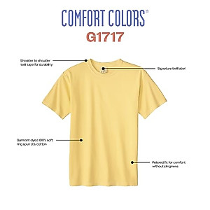 Comfort Colors Adult Short Sleeve Tee, Style G1717, Berry (1-pack), Large