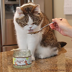 CocoTherapy Organic Virgin Coconut Oil, 8 Ounces, Natural Supplement for Dog Skin Coat Digestion and Immunity