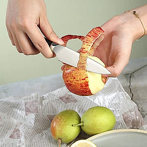 PAUDIN Paring Knife, 3.5 inch Sharp chef's Knife, High Carbon German Steel Fruit Peeling Knife with Ergonomic Triple Rivet G10 Handle, Classic Forged Kitchen Knife