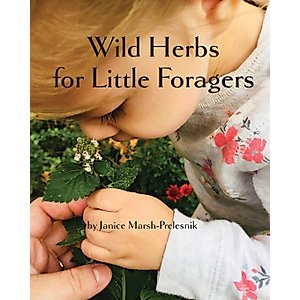 Wild Herbs for Little Foragers